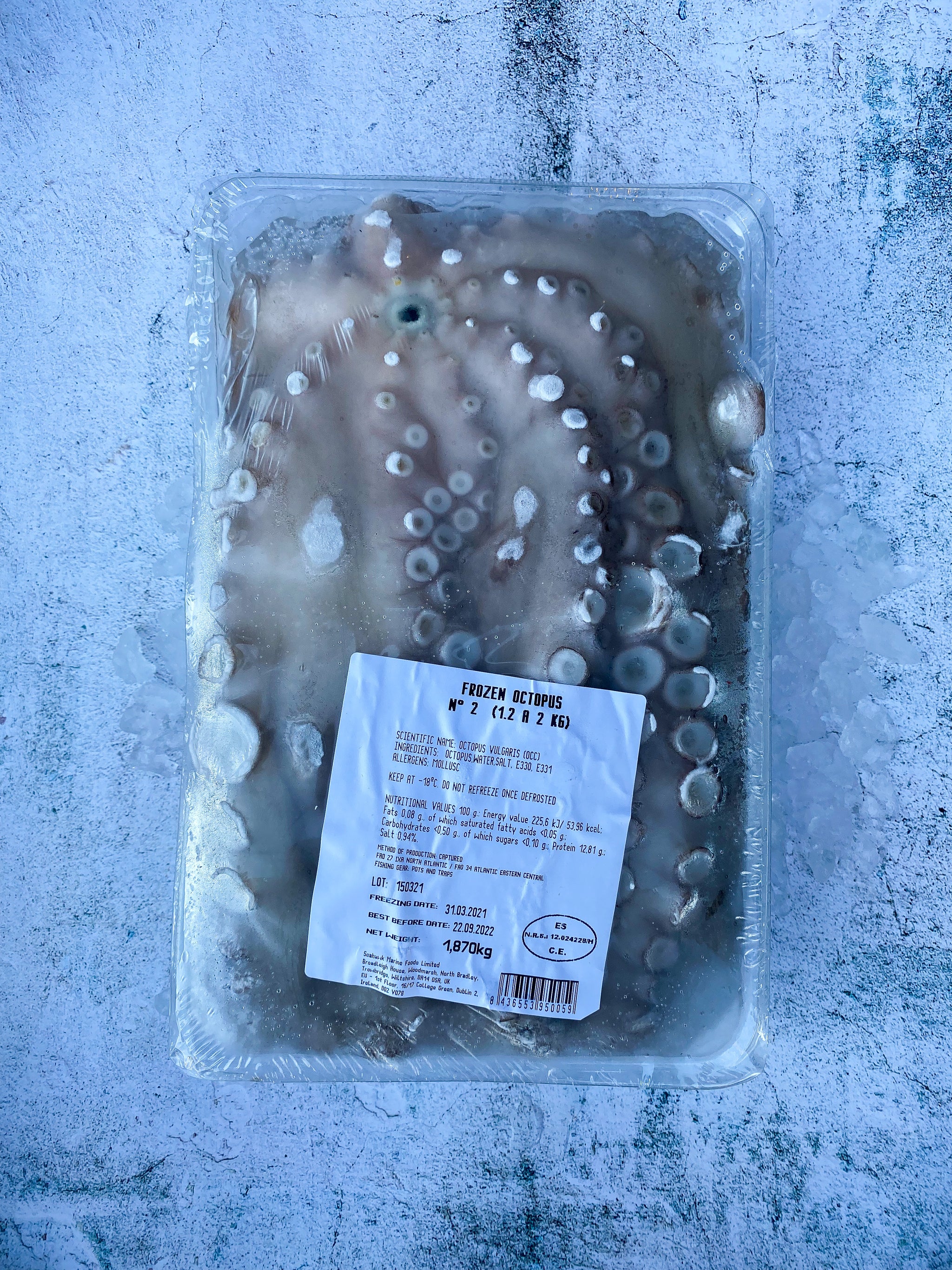Frozen Whole Octopus – Jarvis Fresh Fish