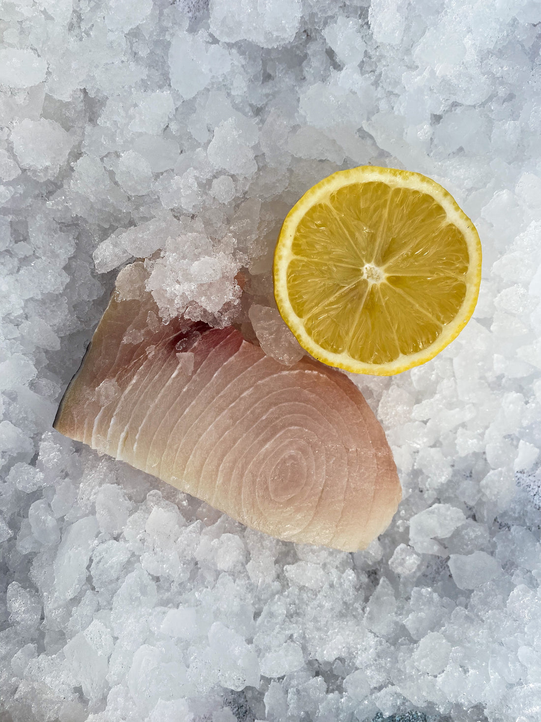 Swordfish Steak 200 g – Premium Panamanian Cut – Jarvis