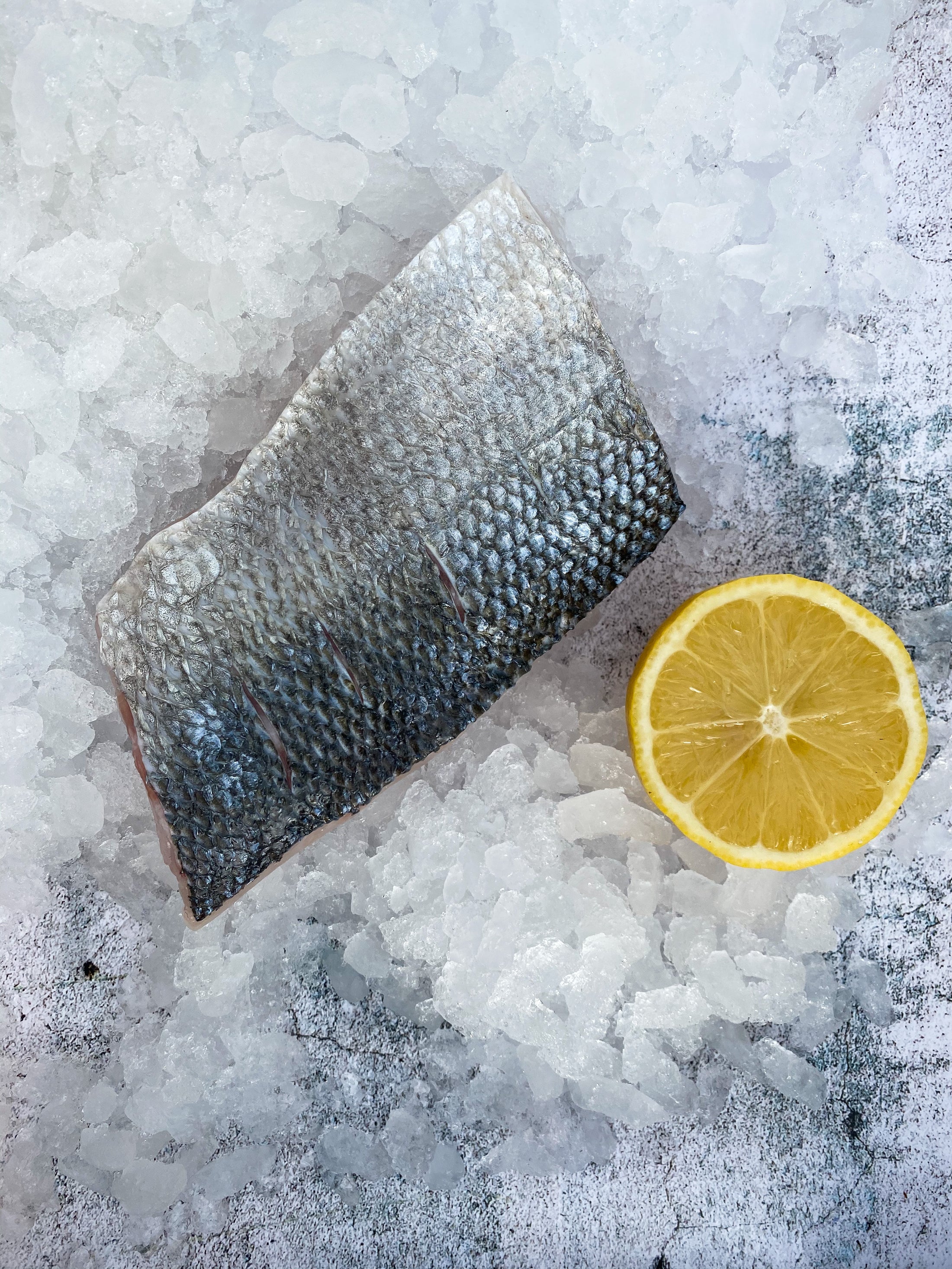 Wild Sea Bass Fillet | Jarvis Fishmonger Wild Caught